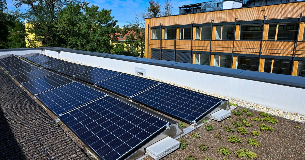 Solární panely na střeše rodinného domu zdražují pojistku | Newstream