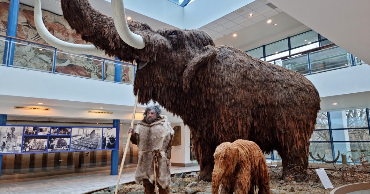 Steak z mamuta nebo křepelky. Firmy je vyrábí v laboratoři | Newstream